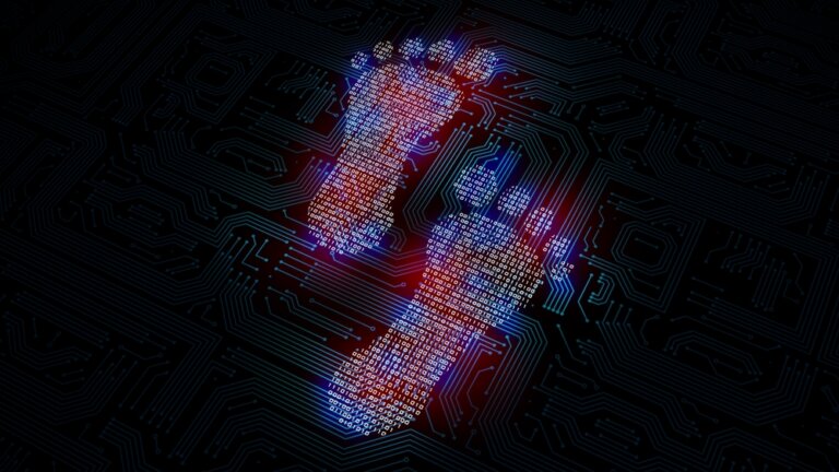 What is a Digital Footprint? | Types & Protection Tips